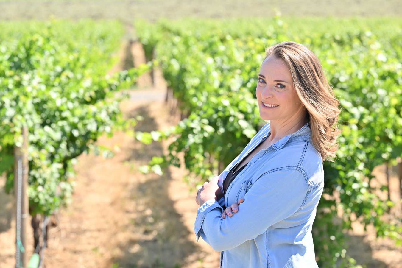 SOAR | Academics | Washington State University