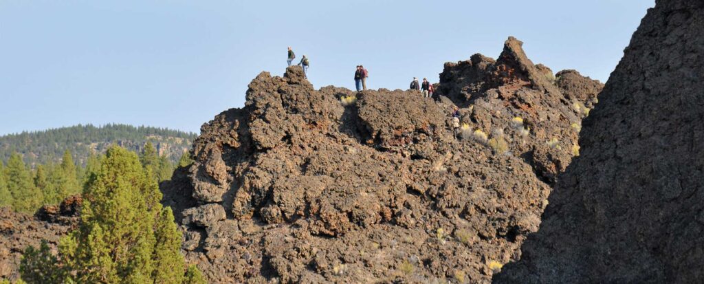 Graduate Programs | Academics | Washington State University