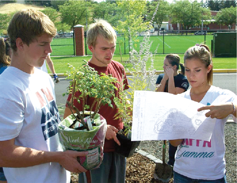 Landscape, Nursery, and Greenhouse Management | Academics | Washington ...