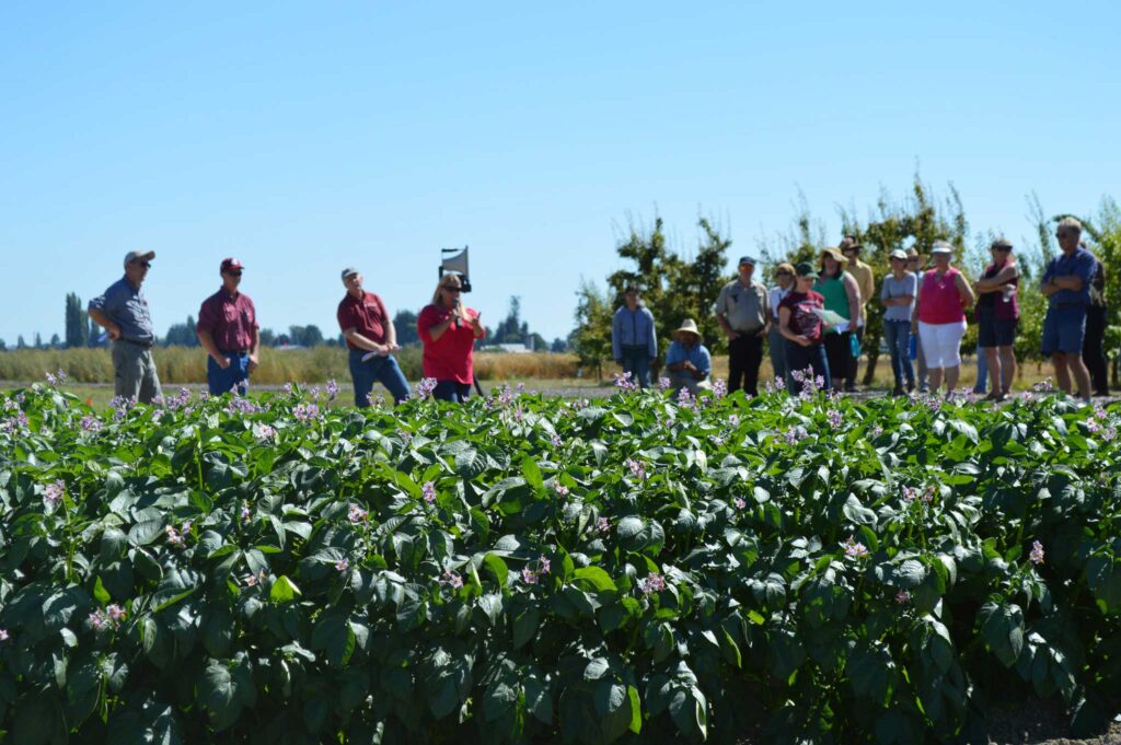 Graduate Programs | Academics | Washington State University