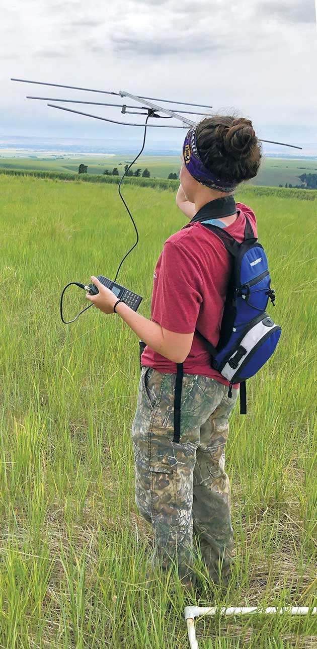 Environmental and Ecosystem Sciences | Academics | Washington State ...