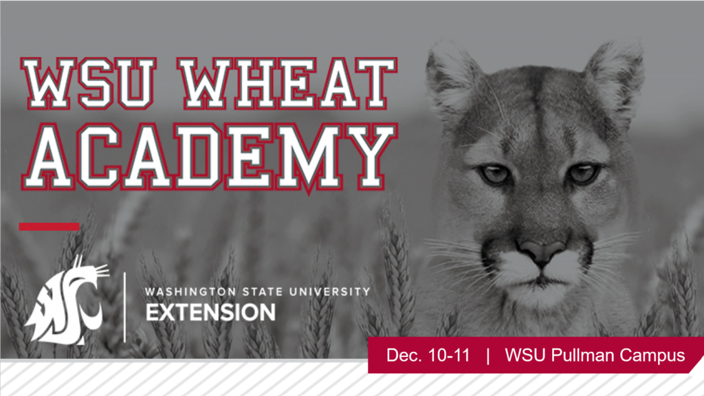 2024 WSU Wheat Academy | CAHNRS Events | Washington State University