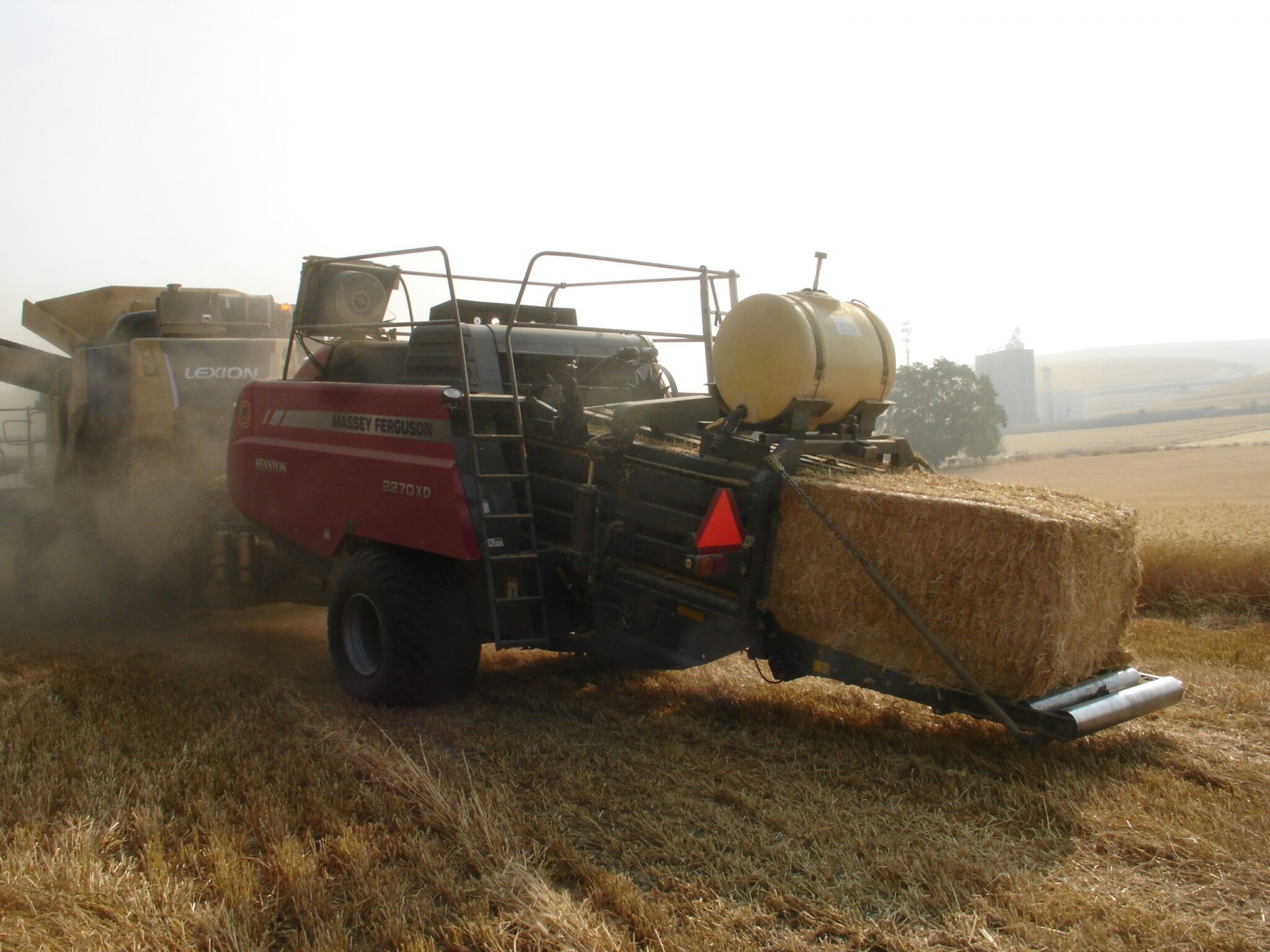 Wheat & Small Grains | Washington State University