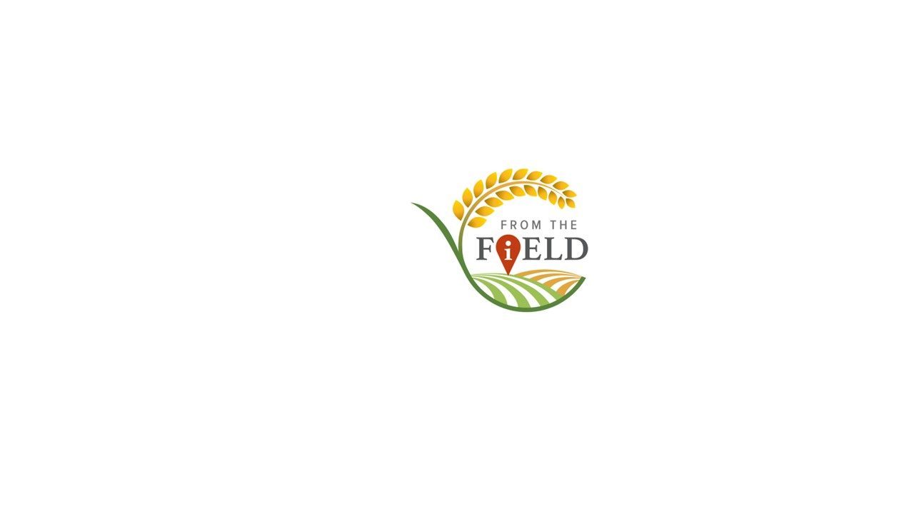From the Field: Introduction | Wheat & Small Grains | Washington State ...