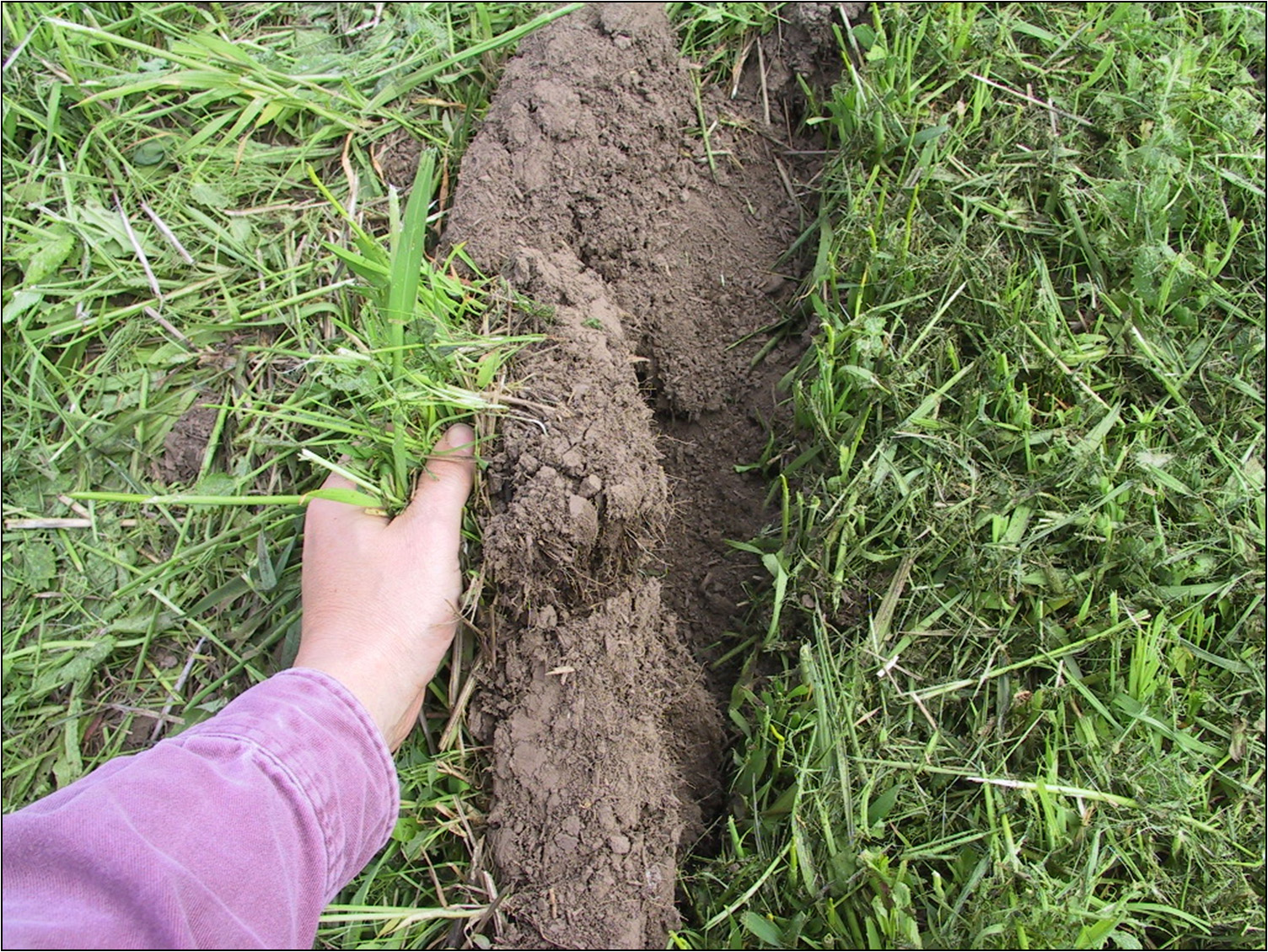 Soil Health Focus: The Washington Soil Health Initiative – How it ...