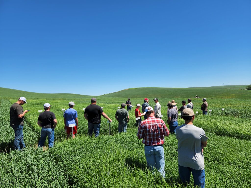 PNW Crop Tours May 29th Through July 1st | Wheat & Small Grains ...