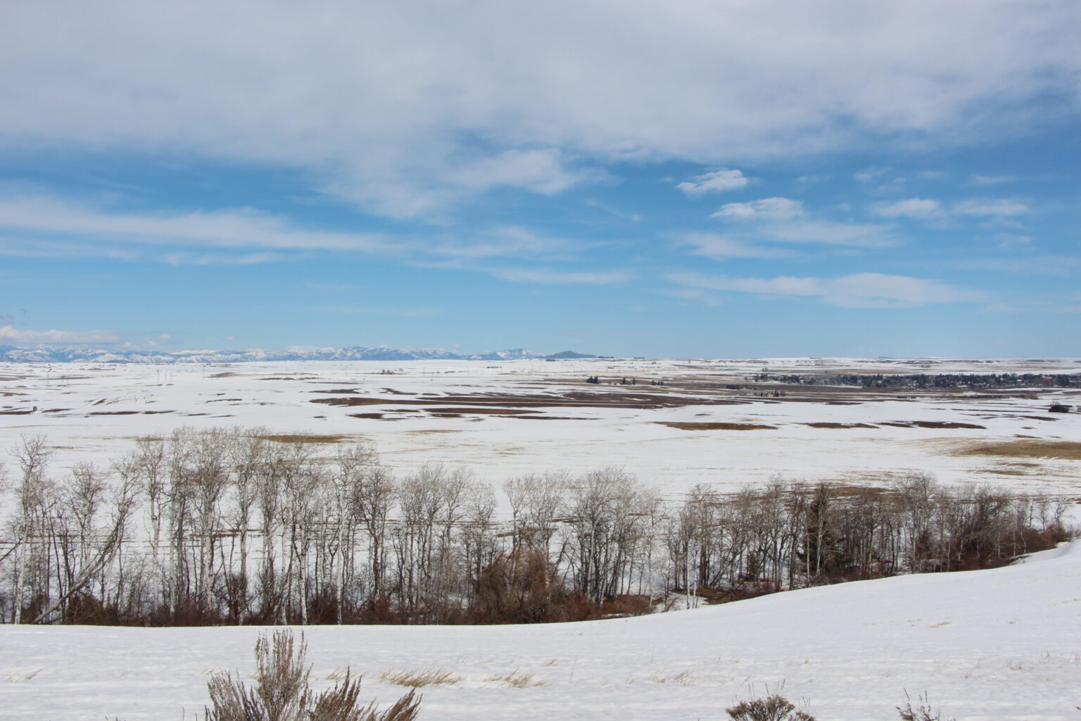 Parts of Eastern Washington May Be Looking to Reseed Wheat Come Spring ...