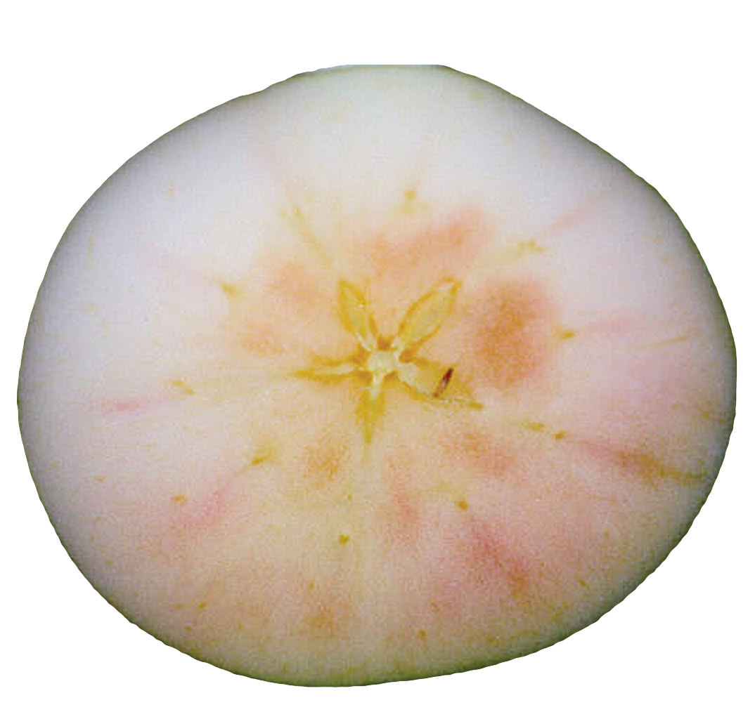 Physiological Disorders | Tree Fruit Postharvest Export Education ...