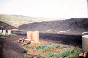 Compost Systems | Organic Agriculture | Washington State University