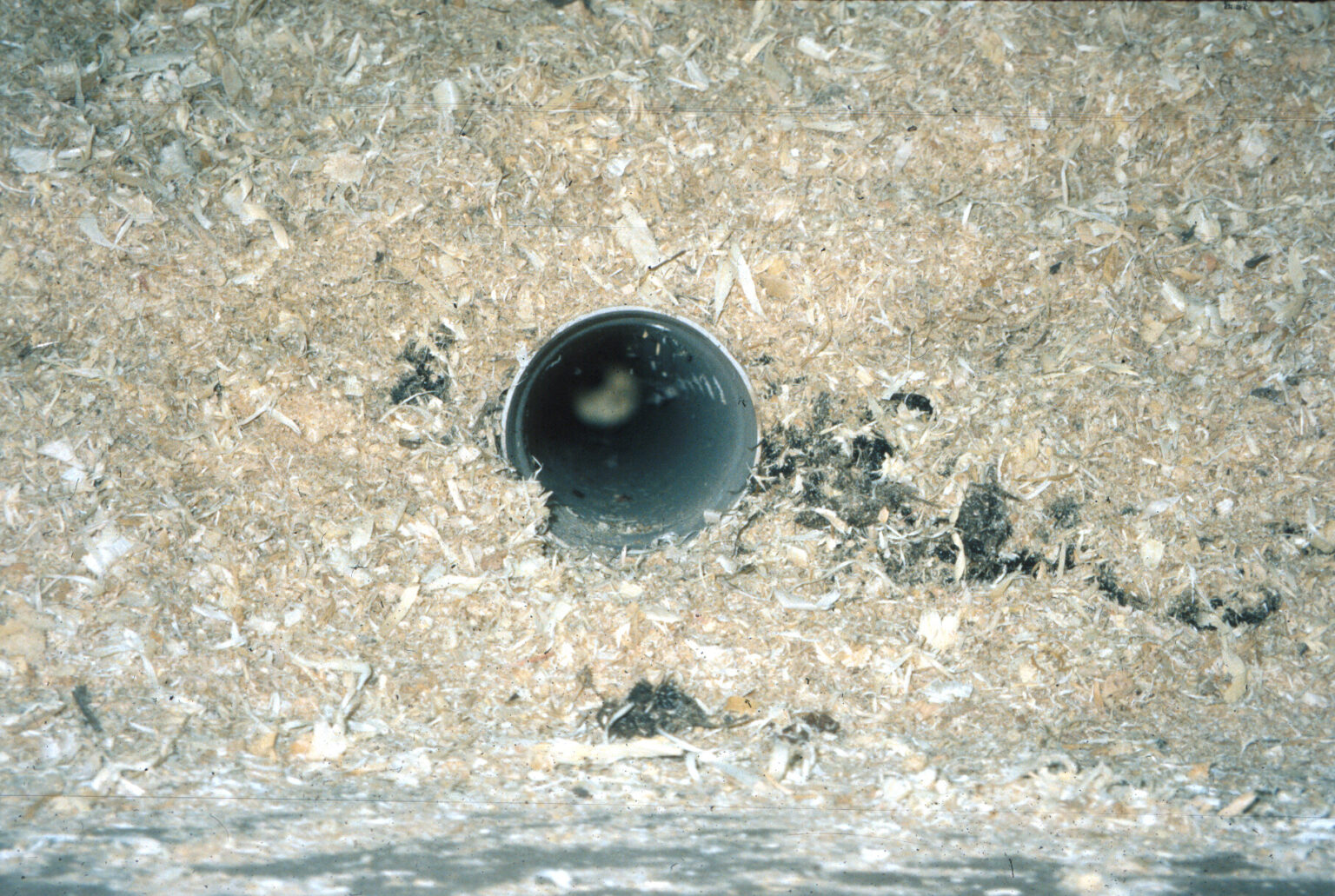 Compost Systems | Organic Agriculture | Washington State University