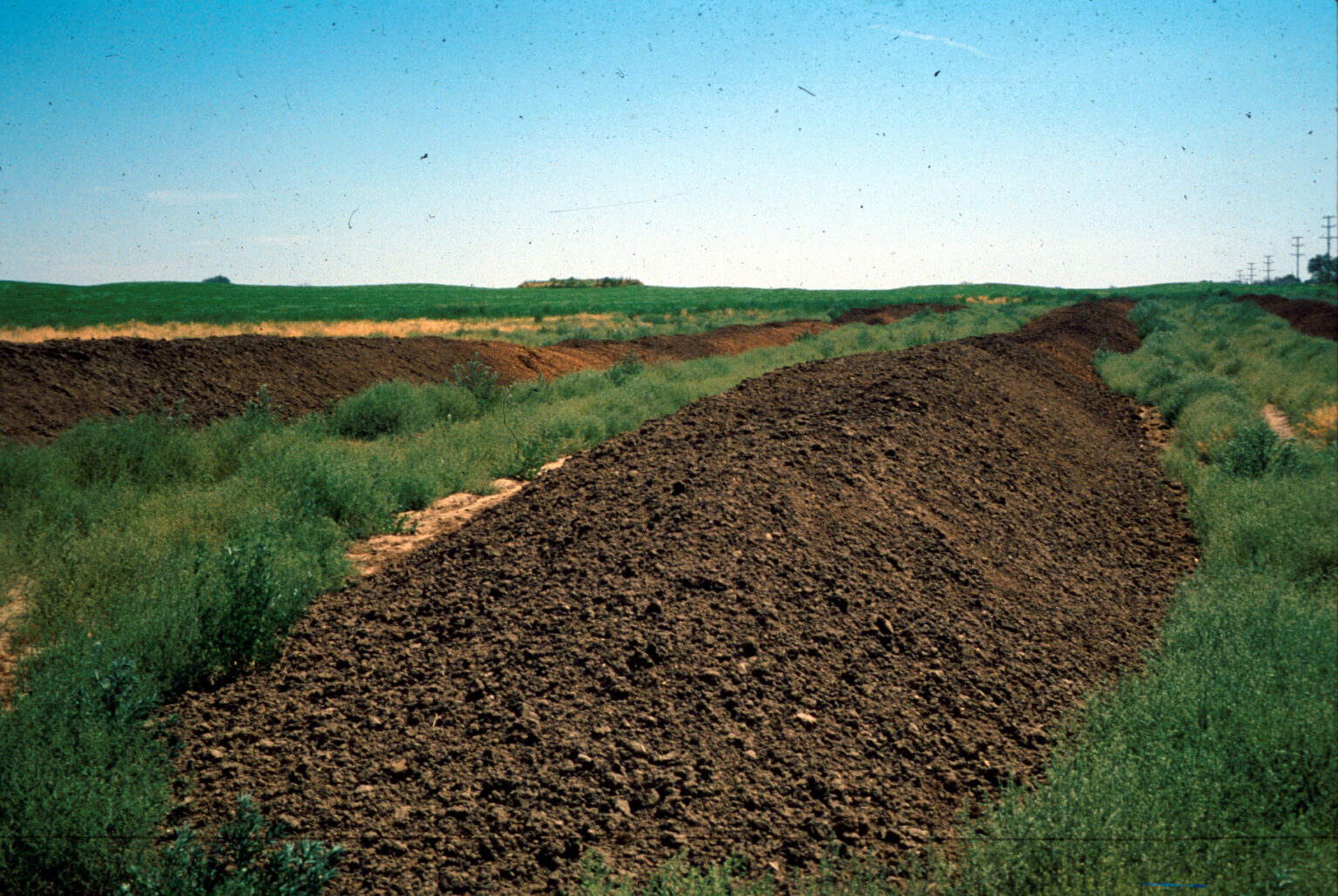 Compost Systems | Organic Agriculture | Washington State University
