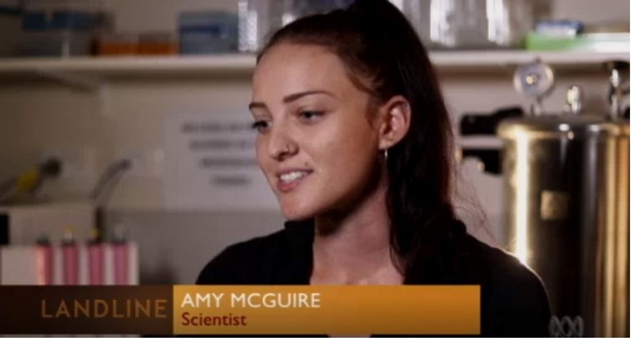 Team Building | Northfield Lab Group | Washington State University