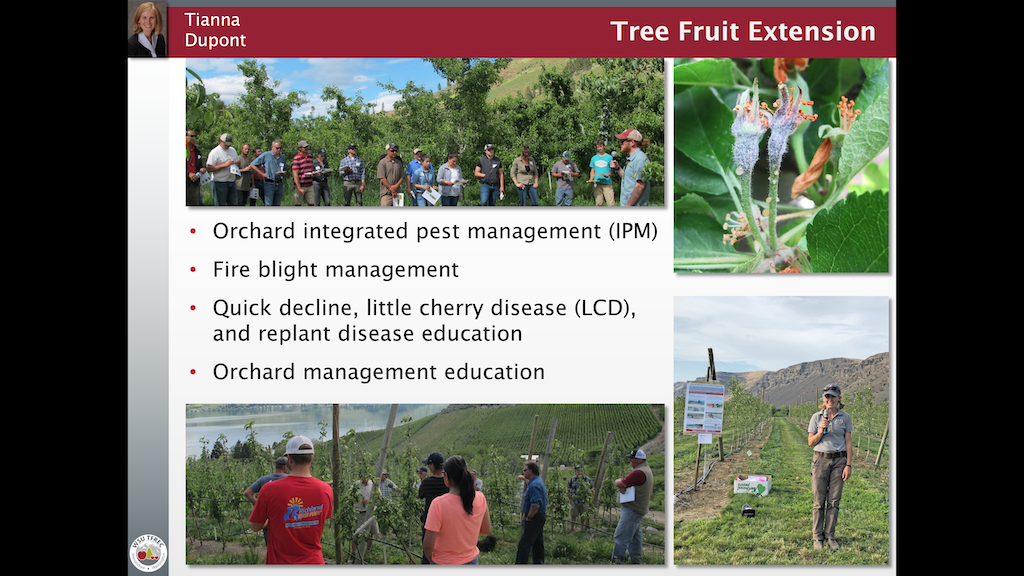 Slide-7_Dupont-program | Wenatchee Tree Fruit Research & Extension ...