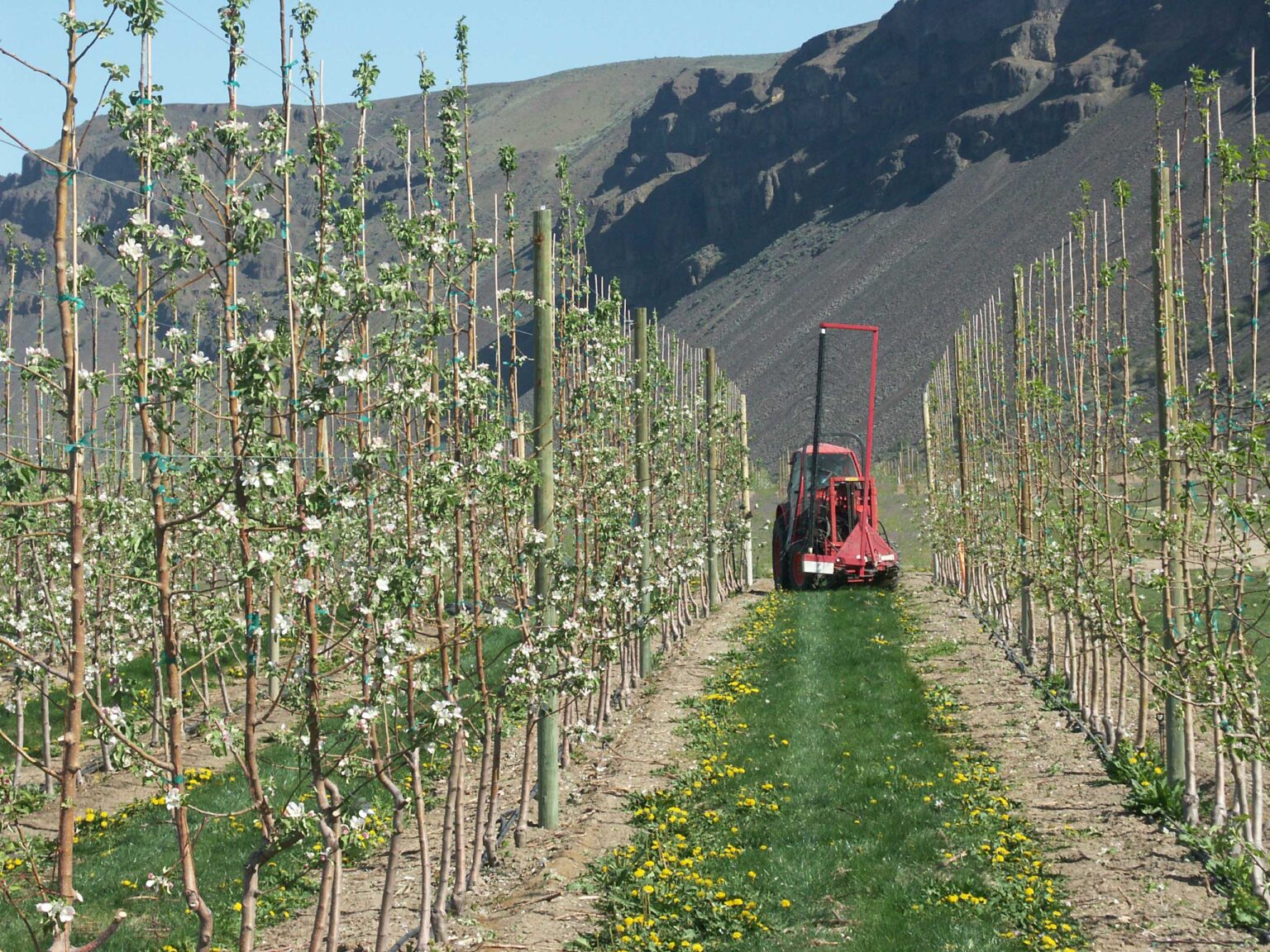 Wenatchee Tree Fruit Research & Extension Center | Washington State ...