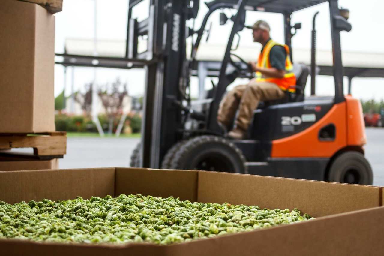 Joe Catron, Hop Pro and Tidal Leadership Grad | Center for ...