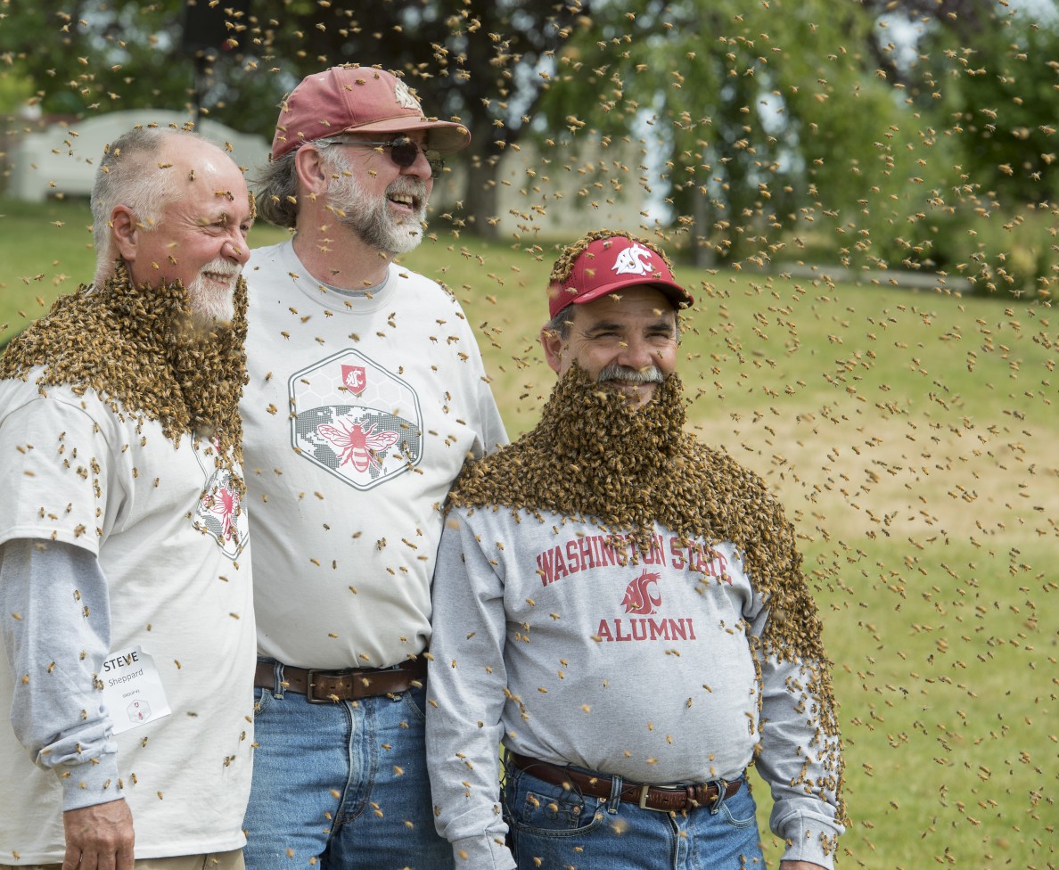 WSU provost wears bees to raise awareness of bees and research | CAHNRS ...