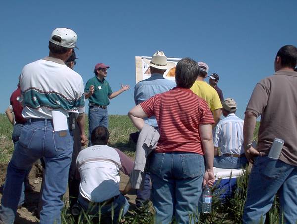 How healthy soil improves yields, ecosystem | CAHNRS News | Washington ...