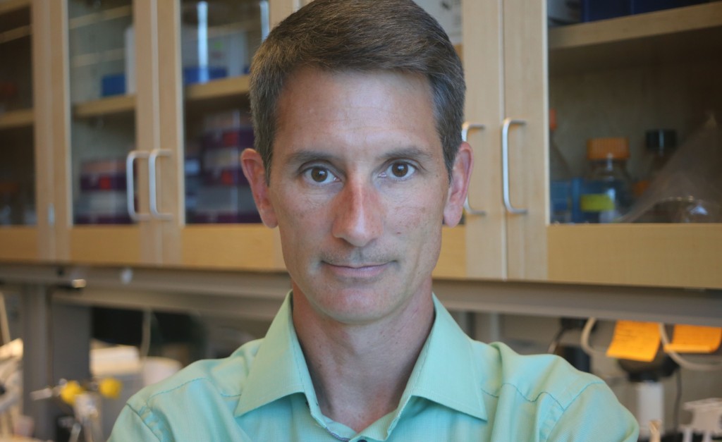 Scientist develops gene therapy for muscle wasting | CAHNRS News ...