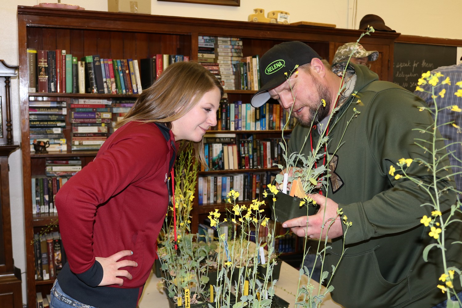 First of three WSU oilseed workshops a success | CAHNRS News ...