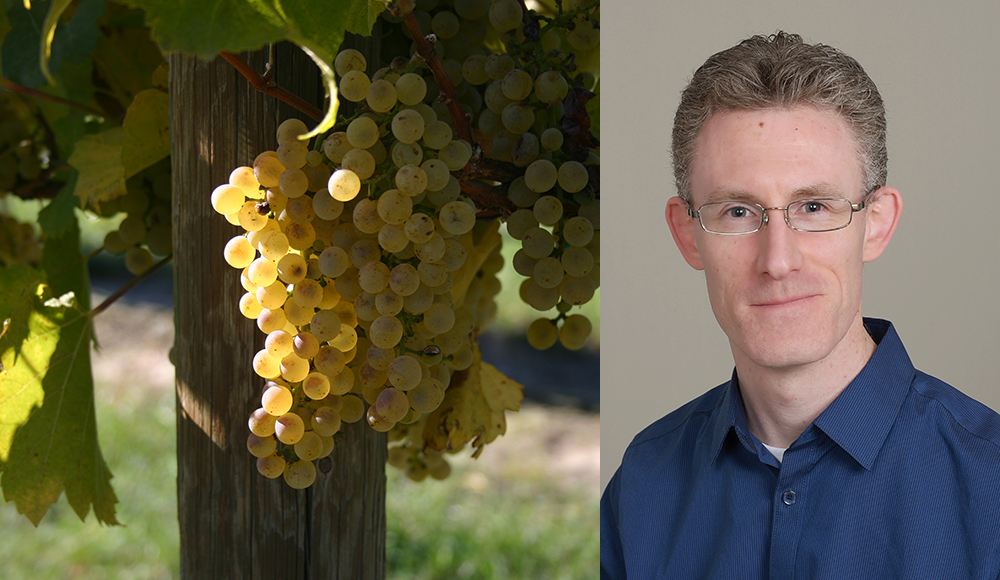 Scott Harper to lead Clean Plant Center Northwest in protecting crops ...