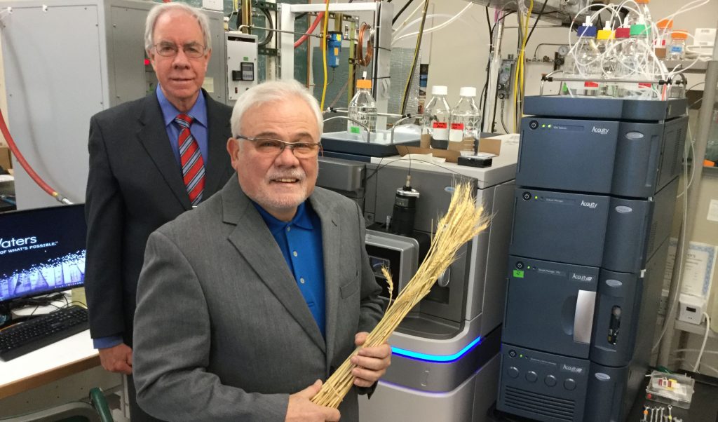 A symphony of soil signals in wheat science | CAHNRS News | Washington ...