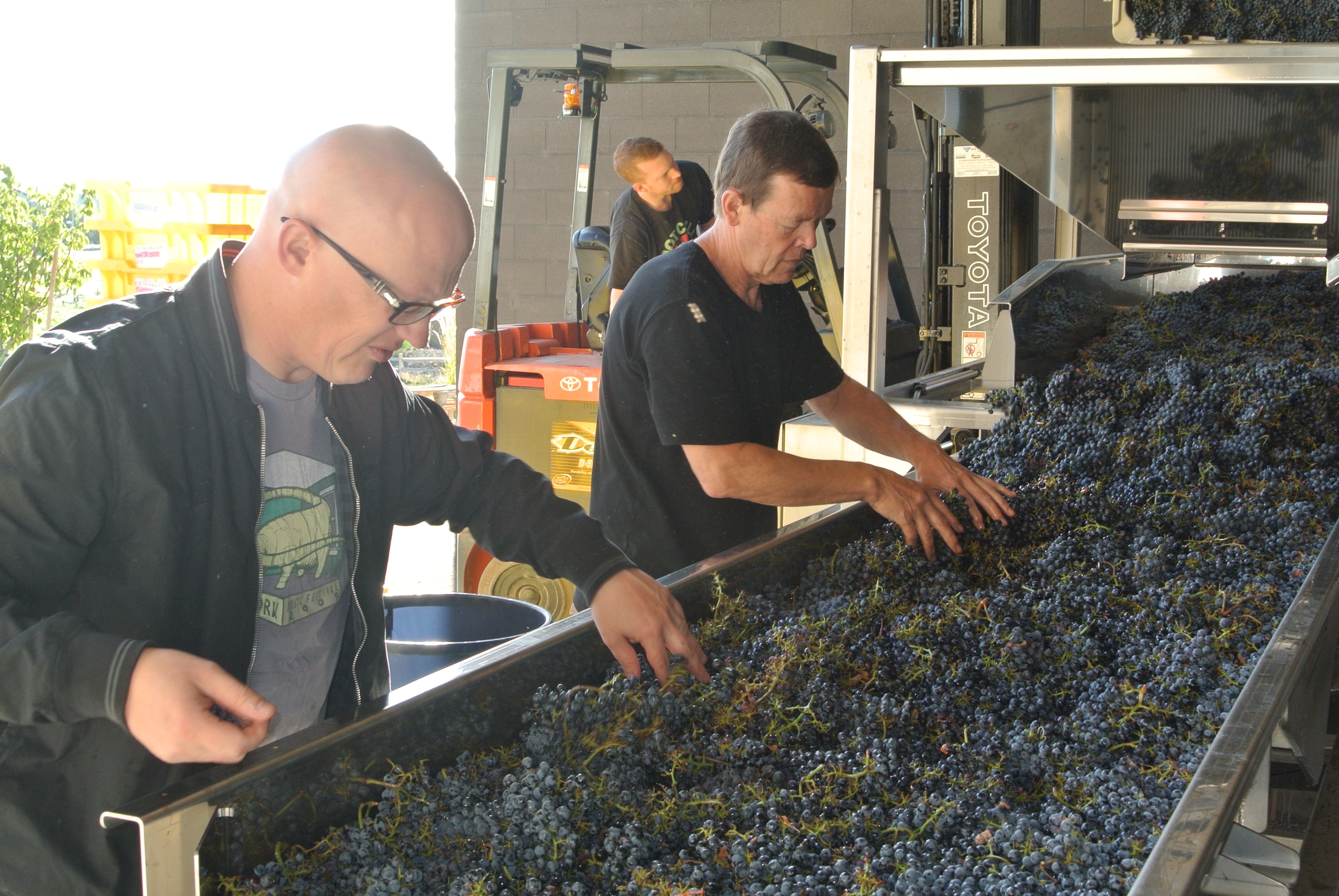 Cheers! | CAHNRS News | Washington State University