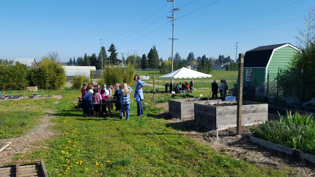 Clark County children learning about farming, food at Heritage Farm ...