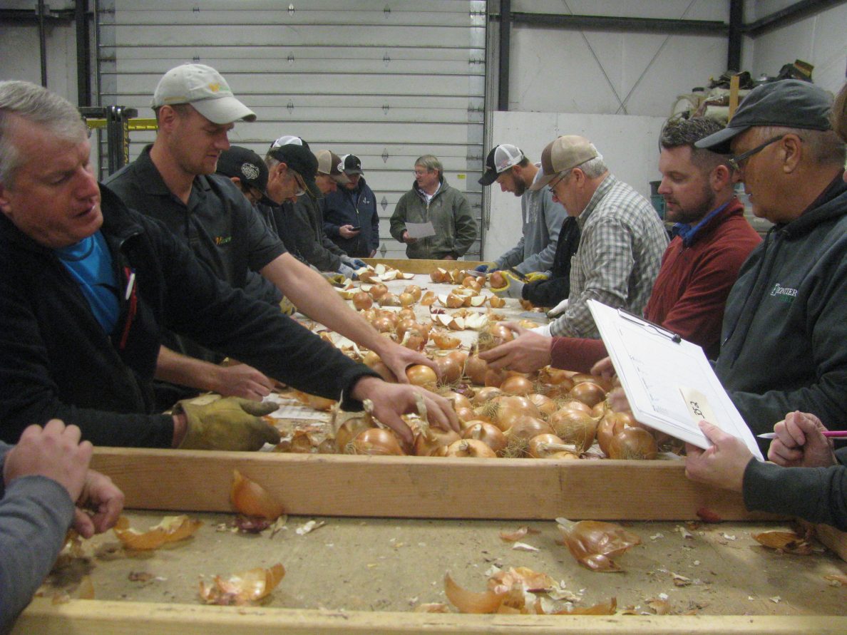 Team’s research to protect onions from pests, pathogens wins USDA award ...