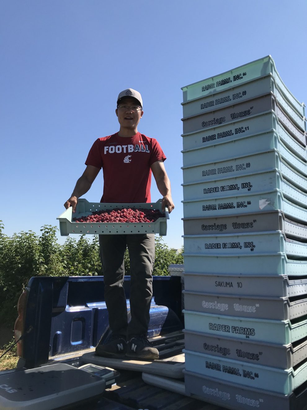 Horticulture student wins award for sustainable mulch discoveries in ...