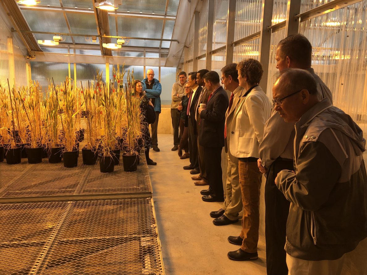 New WSU USDA-ARS research facility on the horizon | CAHNRS News ...