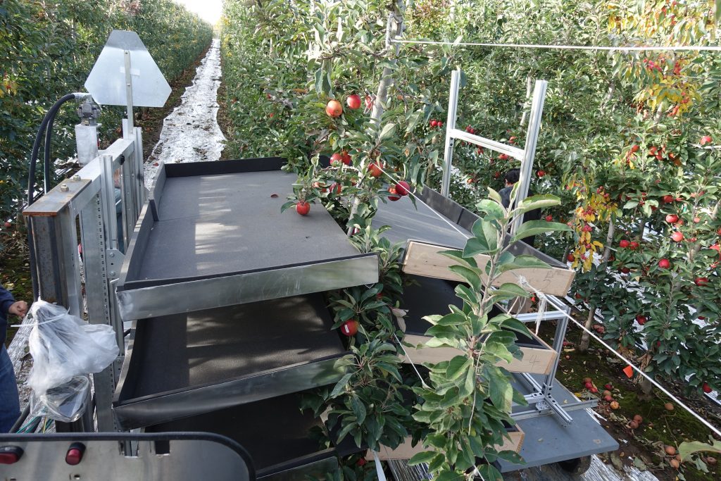 Award: Precision pruning can help machines safely, efficiently harvest ...