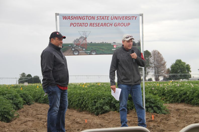 WSU potato scientist champions research, student learning as U.S ...