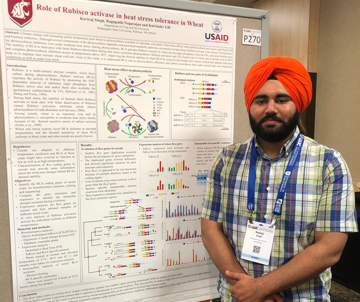 Student’s research into heat-resistant enzyme earns award at ...