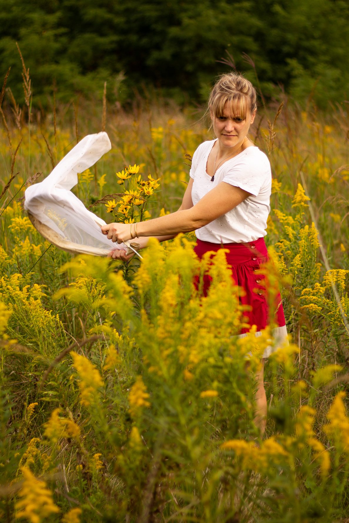 New professor joins WSU with national recognition | CAHNRS News ...