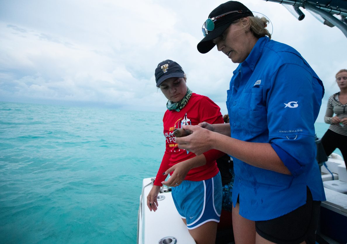 Feb. 17: Nutritionist shares feeding habits of vital ocean predators in ...
