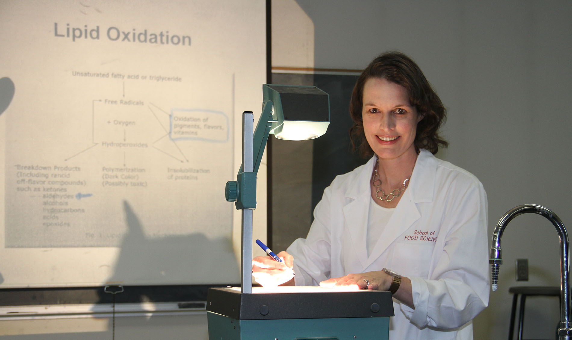 Food sensory scientist Carolyn Ross earns Sahlin Excellence Award for ...