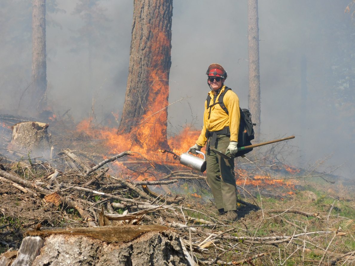 Wildfire awareness: Forestry scientists share lessons to understand ...