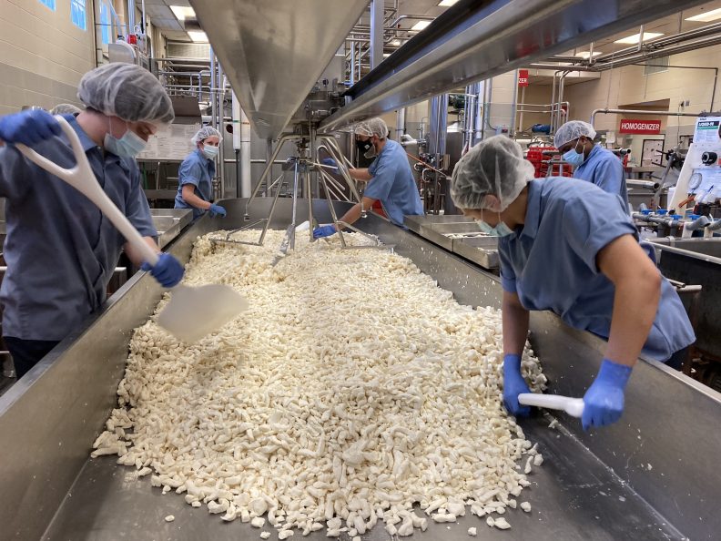 Rachael Ray Show to feature Cougar Gold cheese, WSU students | CAHNRS ...