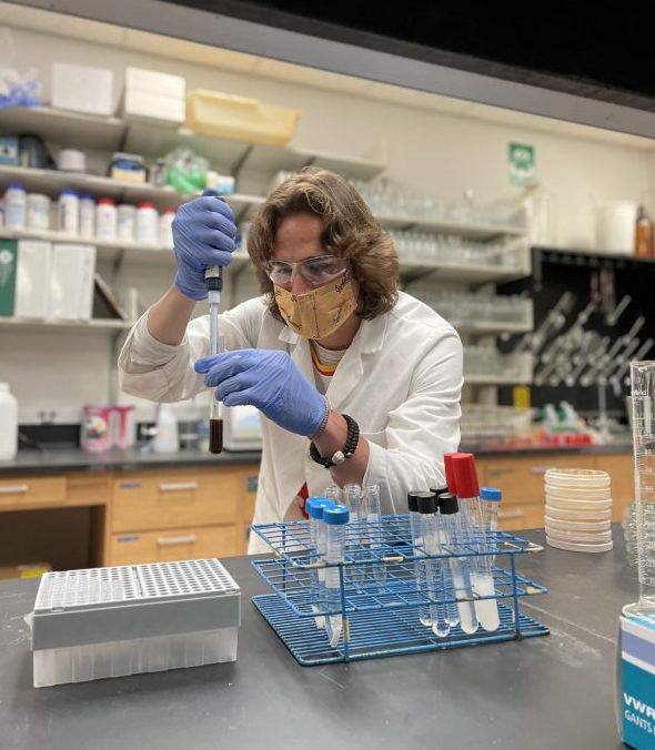 Wild Washington yeast may hold key to reducing sugar content in wine ...