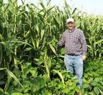 New from Extension: Better silage through intercropping | CAHNRS News ...