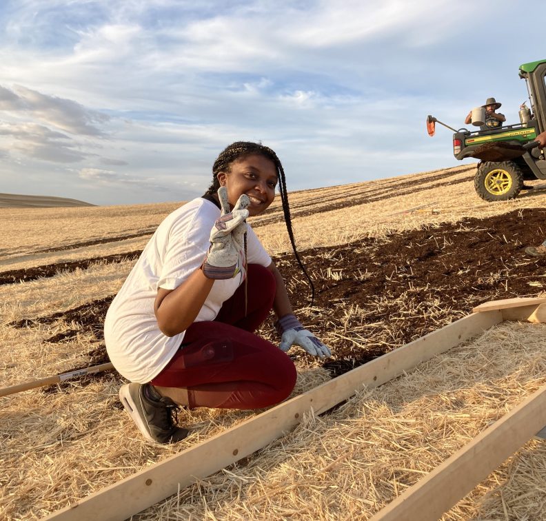 Students help create 3rd annual ‘Welcome Home’ crop mural | CAHNRS News ...