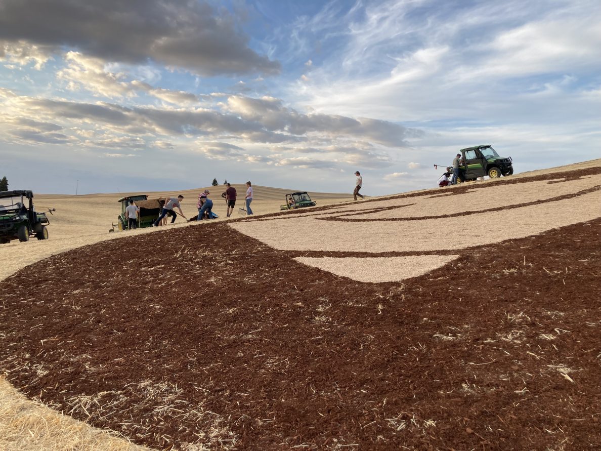 Students help create 3rd annual ‘Welcome Home’ crop mural | CAHNRS News ...