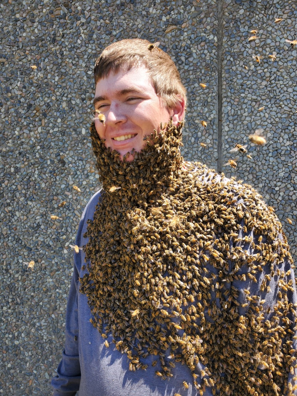 Graduate students accepted into prestigious fellowship | CAHNRS News ...