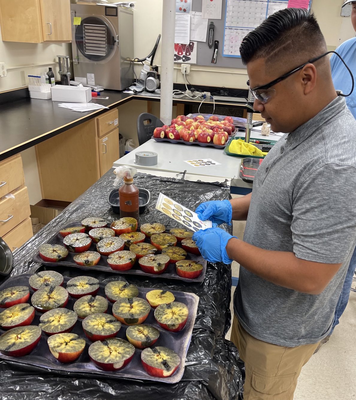 WSU IAREC intern to spend year exploring the science behind agriculture ...