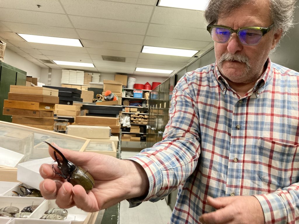 White witches, vanished specimens, living gems: Look inside WSU’s ...