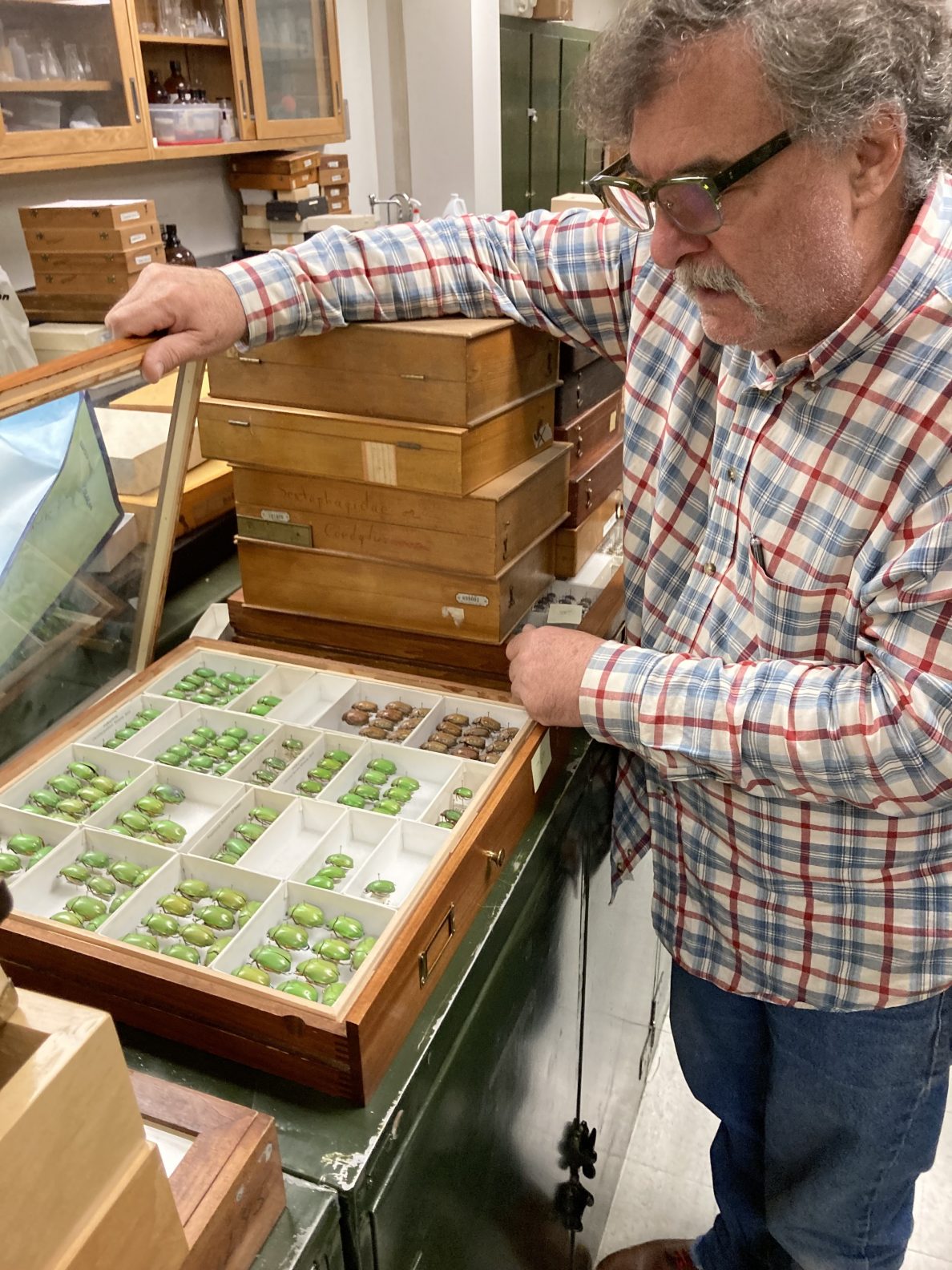 White witches, vanished specimens, living gems: Look inside WSU’s ...