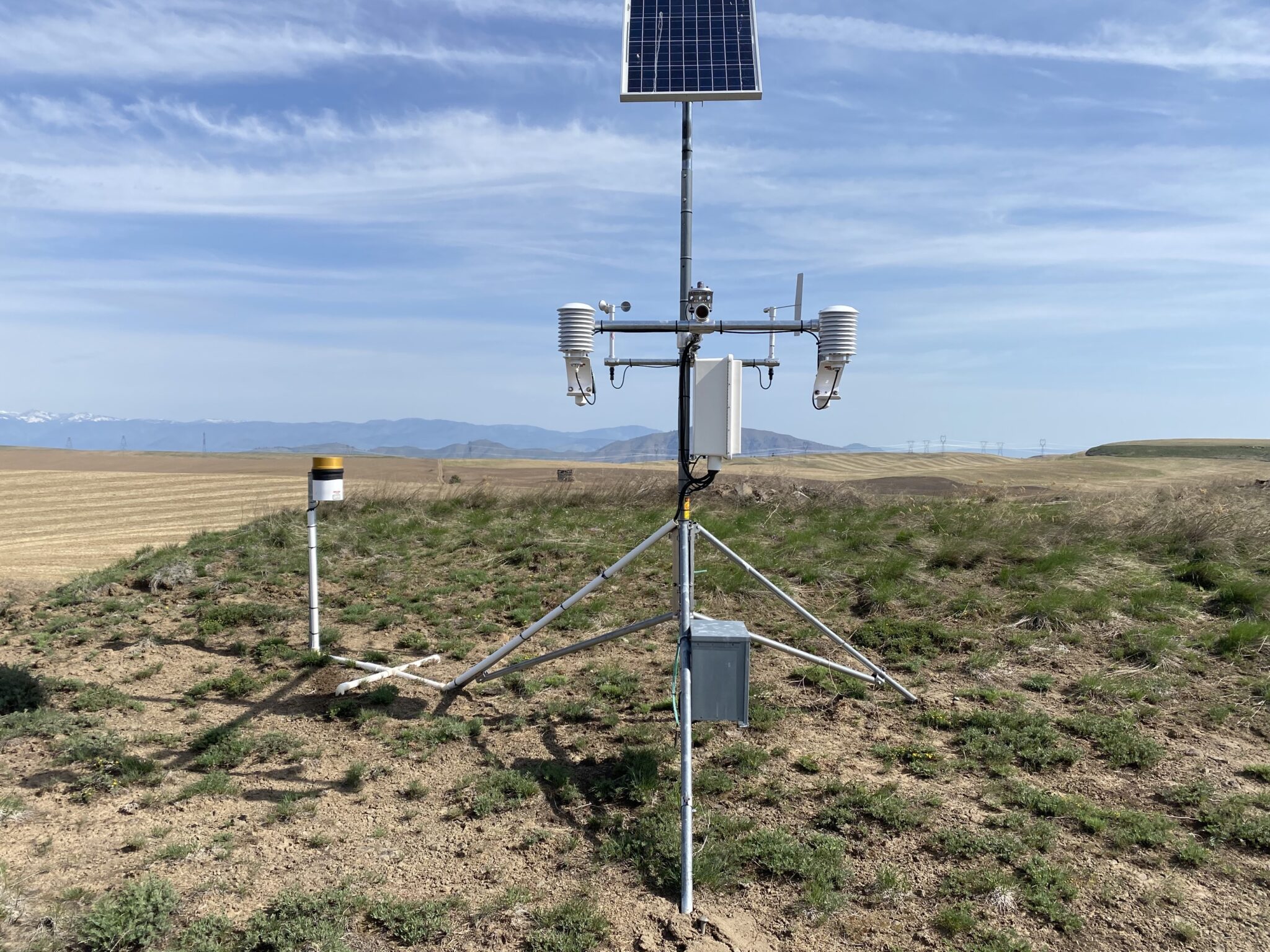 WSU AgWeatherNet models boost health of crops, animals, and people ...