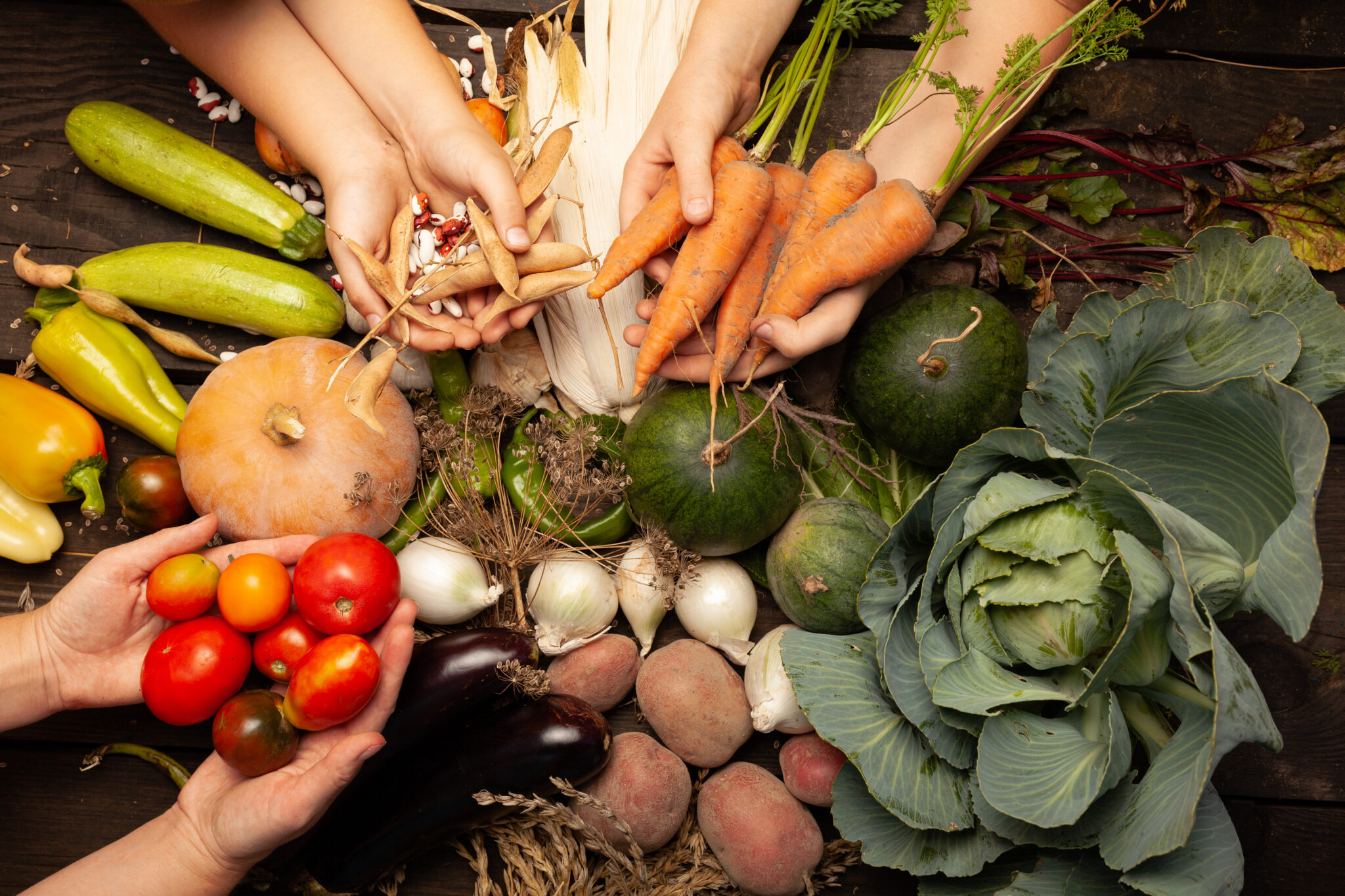 Latest WSU Extension guides: Understanding food hubs, vineyard diseases ...