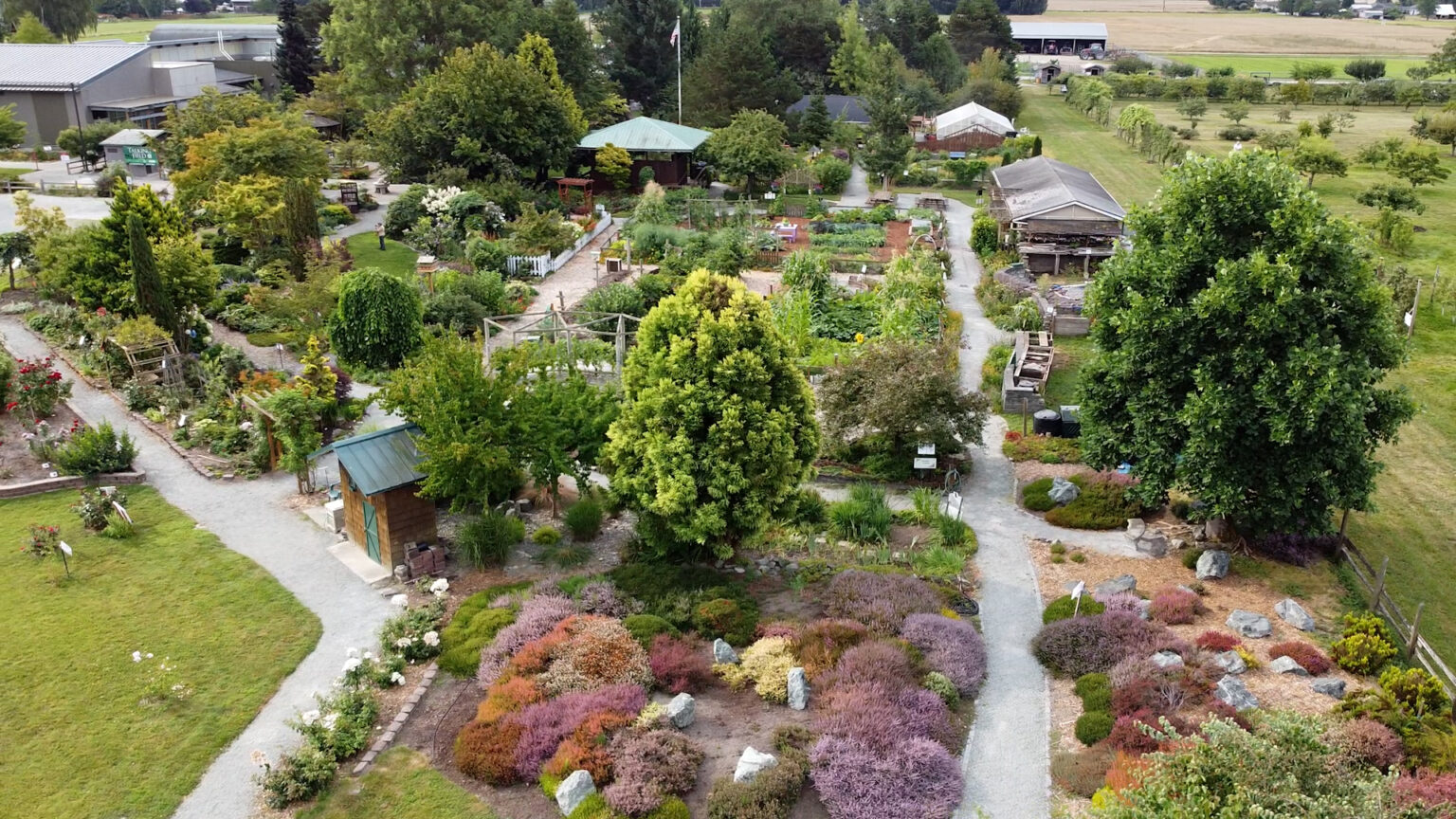 Washington master gardeners today: Nine ways WSU Master Gardeners make ...