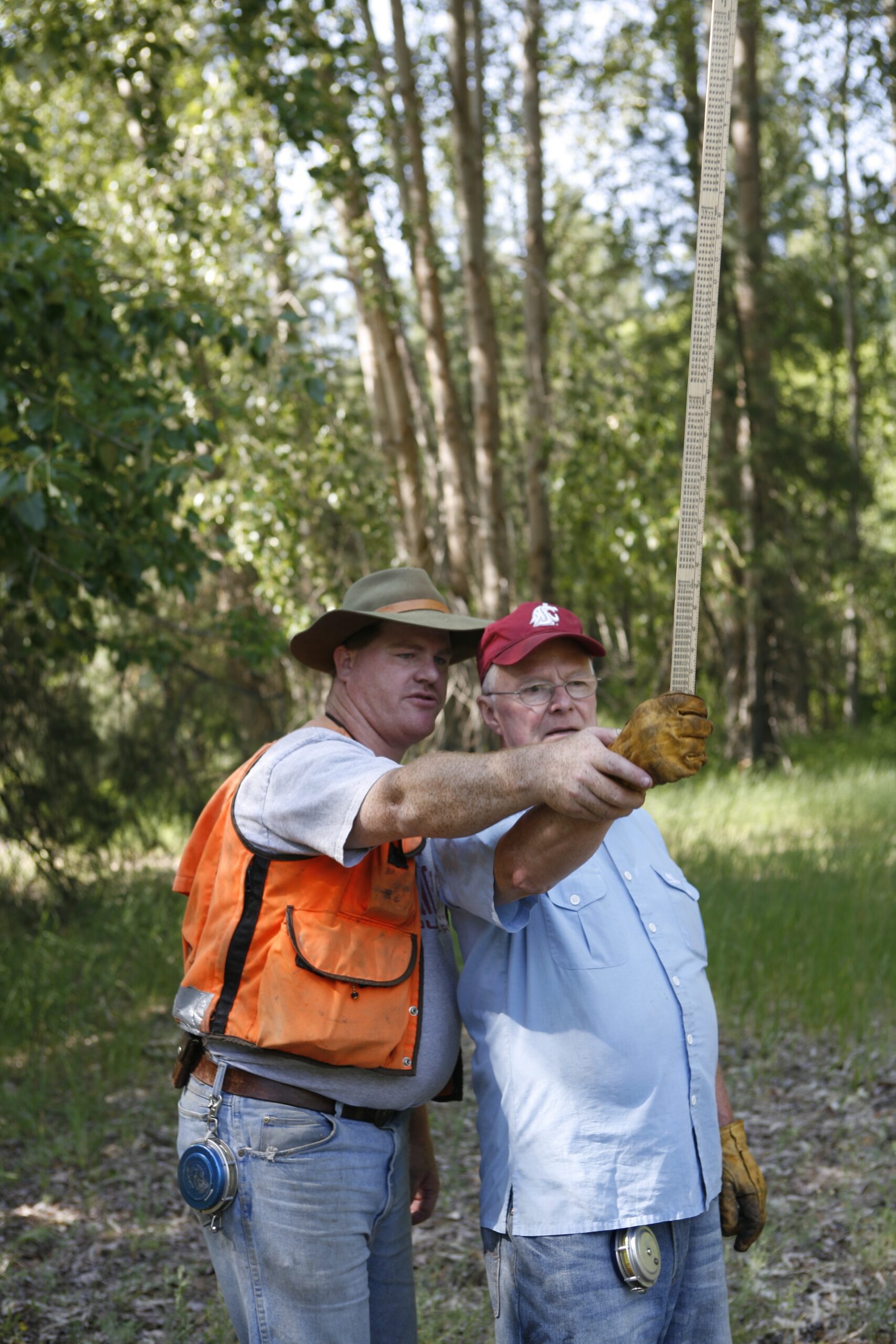 Pine beetle education featured at this year’s WSU Forest Owners Winter ...